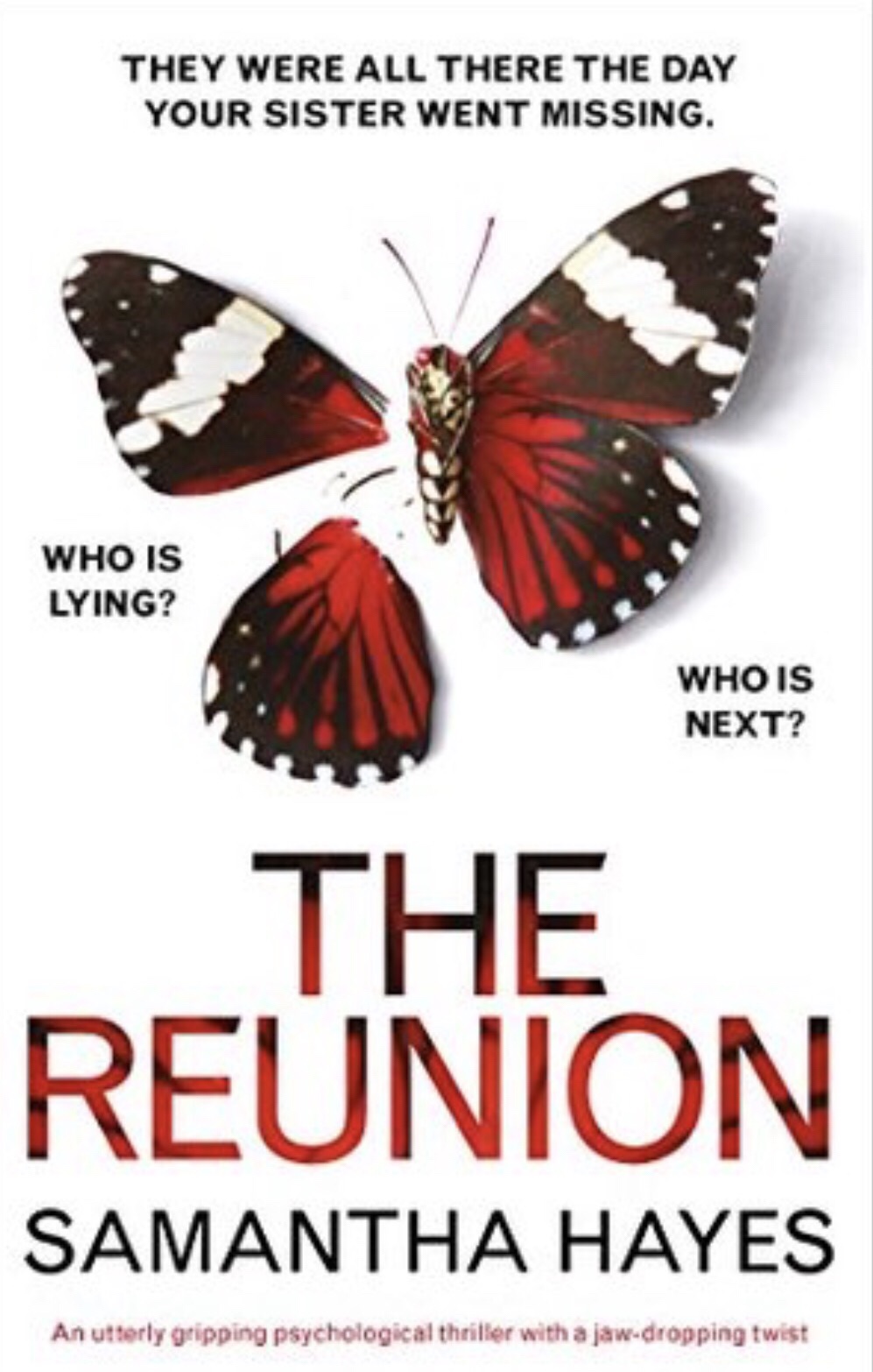 The Reunion by Samantha Hayes ~ @samhayes @bookouture #thriller # ...